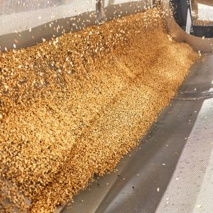 Micro Perforated Screen - HTMI | Leading Supplier of Quality Metals in ...